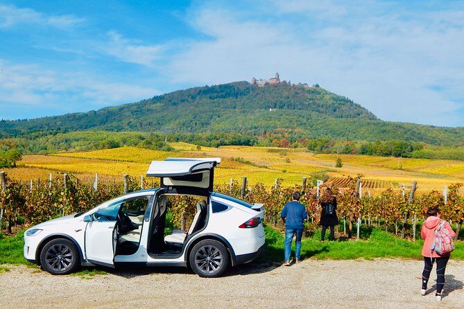 5H00 ALSACE PRIVATE TOUR-Castle, Villages, Wine, Friendly Driver - A Deep Dive into the Alsace Private Tour Experience