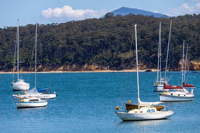 5hr Eden Tour in Nature; Beach, Lookout & National Park - The Value of Booking and Supporting the Community