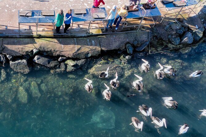 5hr Eden Tour in Nature; Beach, Lookout & National Park - FAQs