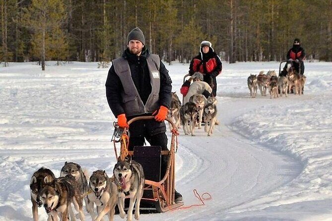 5KM Husky Sled Ride from Levi - Who Will Love This Tour?