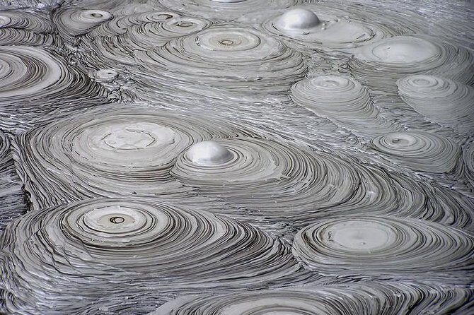 6.5 hour Small-Group Rotorua Naturally Shore Excursion - Tauranga - The Itinerary: What to Expect and Why It Matters