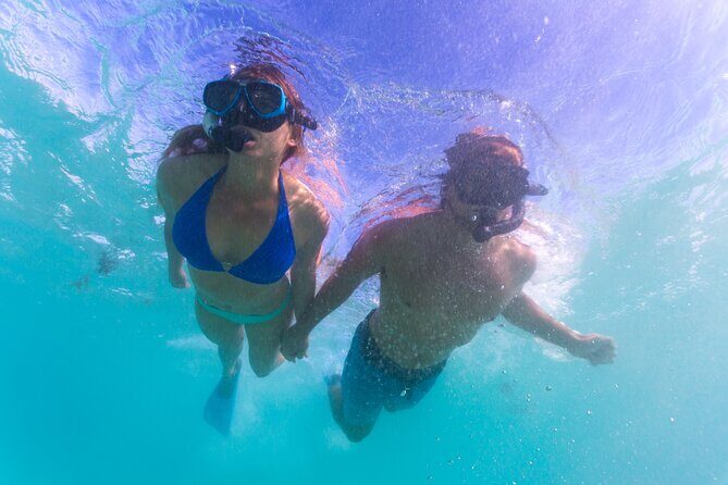 6-Day Coral Coaster from Perth to Exmouth One-Way via Monkey Mia Ningaloo Reef - In-Depth Look at the Itinerary