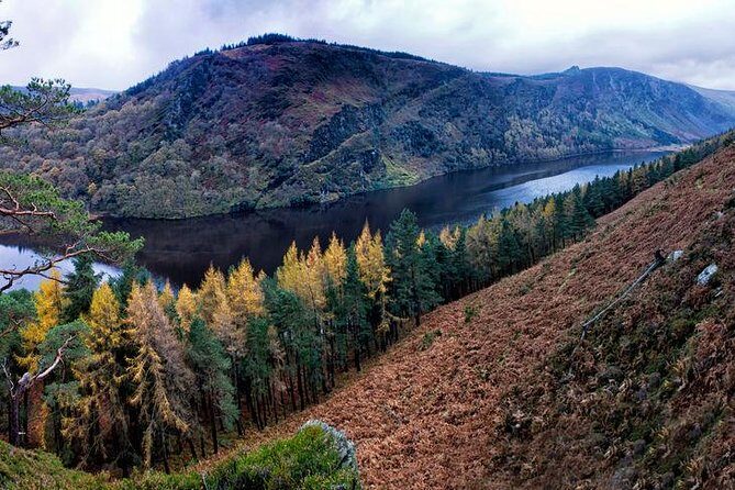 6-Day South of Ireland Tour from Dublin - FAQs