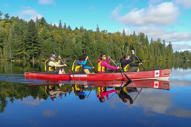 6 Hour Algonquin Park Canoe Trip - Exploring the 6 Hour Algonquin Park Canoe Trip: An Authentic Wilderness Adventure