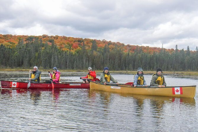 6 Hour Algonquin Park Canoe Trip - Practical Details & Tips