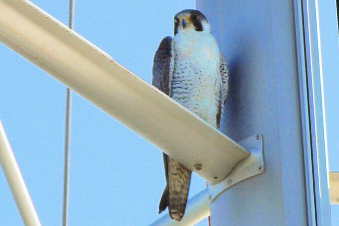 6 hour boat tour navegating through the Islands of Ria Formosa National Park - The Itinerary in Detail