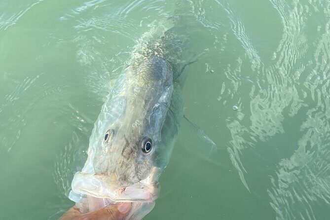 6 Hour Florida Keys Fishing Charter - Price and Value Analysis