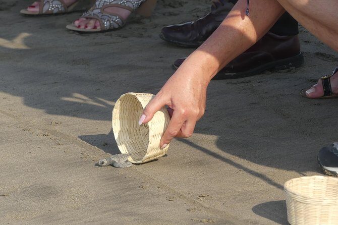 6 Hour Fun-Filled Tour Perfect for Cruise Travelers & Hotel Stays - Who is This Tour Best For?