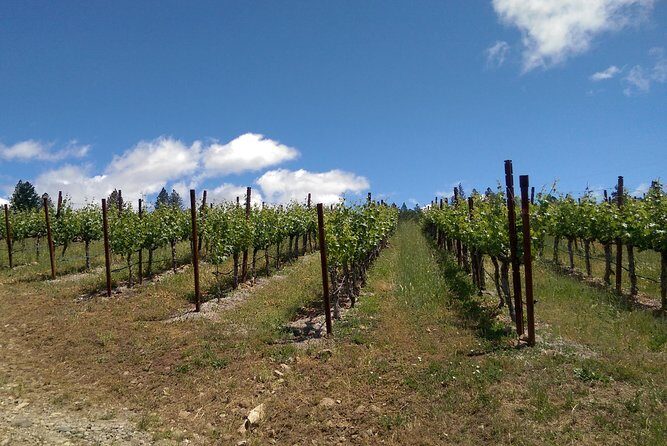 6 Hour Napa or Sonoma Wine Tour in Private Limousine - Key Points