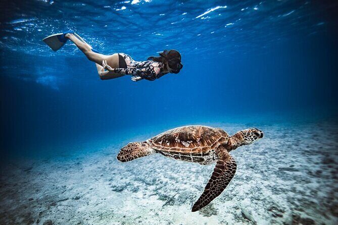 6 Hour Private Boat Activity with Snorkeling & Lunch - An In-Depth Look at the Experience