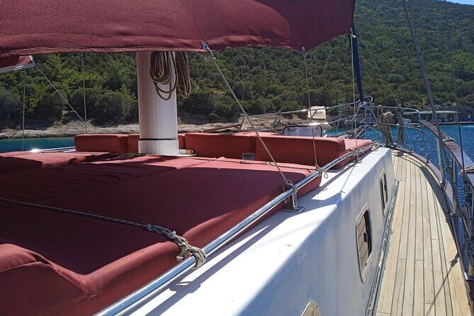 6 Hour Private Shore Excursion To Bodrum with Lunch Included - Introduction: A Day on the Water in Bodrum
