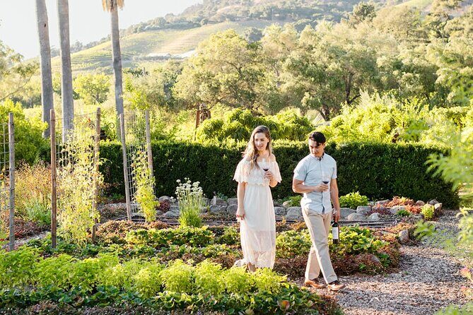 6 Hour Sonoma Boutique Wine Tour-Private Black Car,up to 6 Guests - Key Points