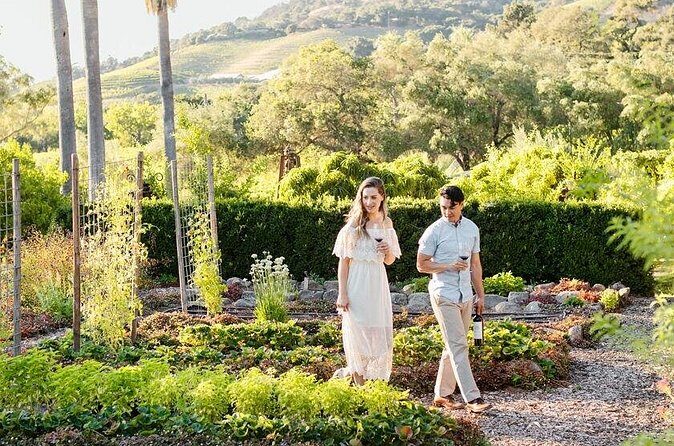 6 Hour Sonoma Boutique Wine Tour-Private Black Car,up to 6 Guests - Final Thoughts