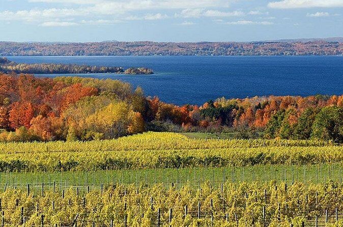 6 Hour Tour in Lake Leelanau - Final Thoughts