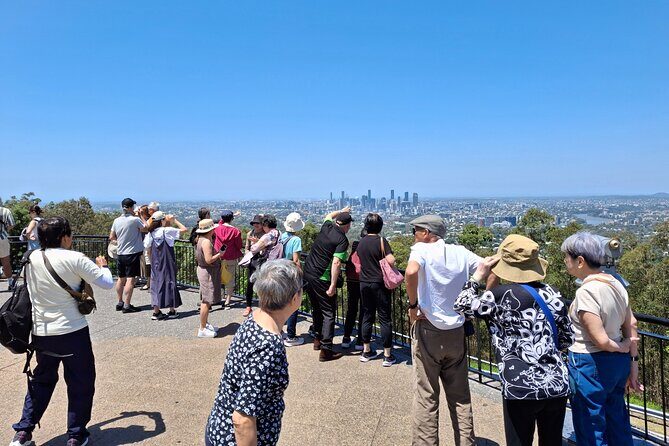 6 Hours Brisbane Private Tour  Popular Sights in One Day - Who Should Consider This Tour?