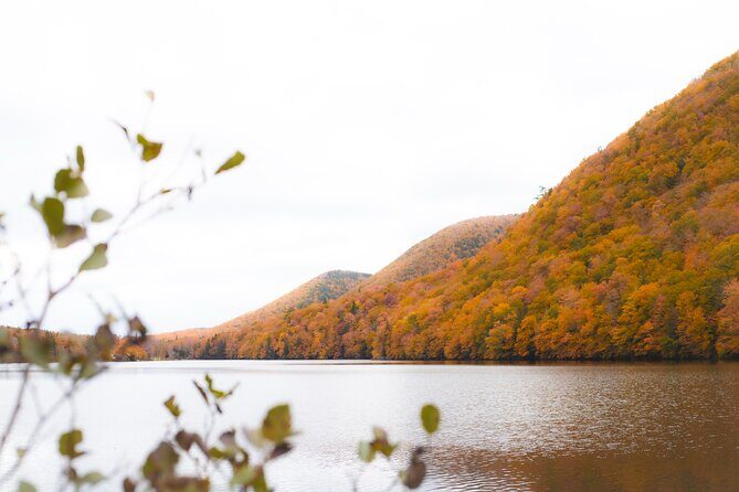 6 Hours Cabot Trail, Keltic Lodge and Ingonish Sights Tour - Summary