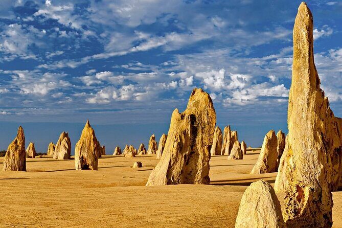 6 Hours Pinnacles Express Tour - Exploring the 6 Hours Pinnacles Express Tour: A Guide to Western Australia’s Iconic Landscape