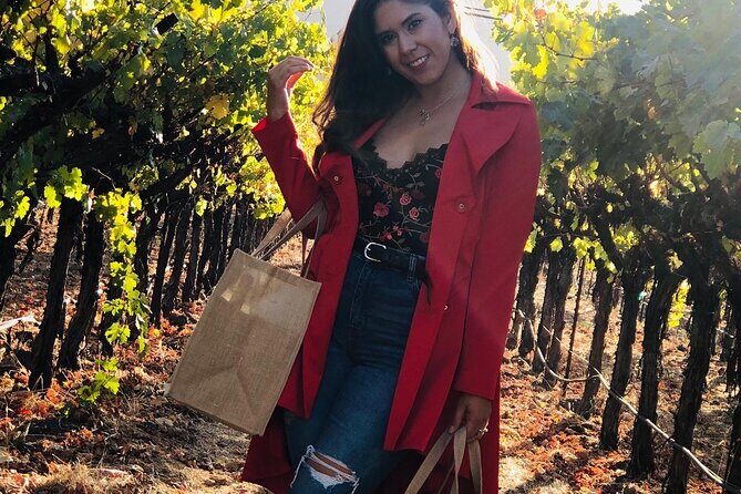 6 Hours Private 6 passenger SUV for Napa or Sonoma Wine Tours - Is It Worth the Price?