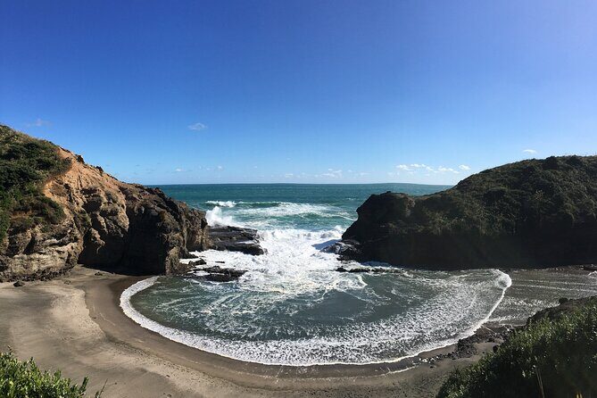 6 Hours Sightseeing Tour in Auckland - An In-Depth Look at the Tour Itinerary