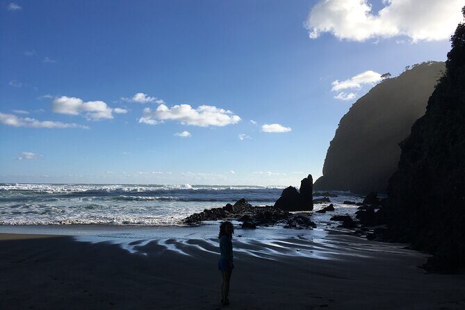 6 Hours Sightseeing Tour in Auckland - Practical Tips for Booking and Enjoyment