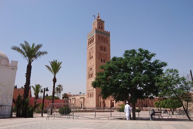 6-Night Morocco Tour from Malaga: Fez, Meknes, Marrakech, Casablanca, Rabat and Tangier - Practical Tips for the Trip