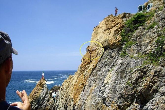 6Hr Cruisers or Hotels High Diver Peace Chapel BabyTurtleRelease - The Sum Up