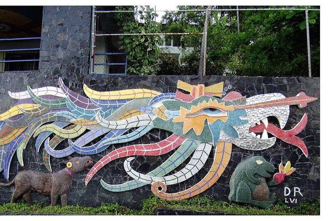 6Hr Cruisers or Hotels High Diver Peace Chapel BabyTurtleRelease - FAQ