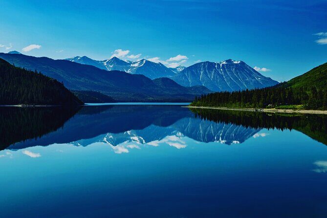 6hr Custom Private Tour of Ketchikan (4 People) Wildlife + More - A Deep Dive into the Ketchikan Experience