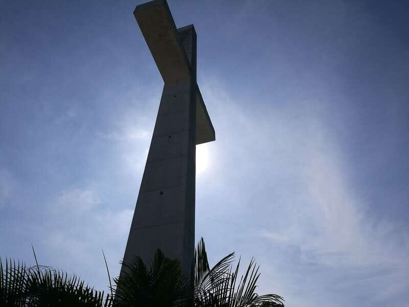 .6Hr Tour Diving Show Baby Turtle Release & All Attractions - Key Points