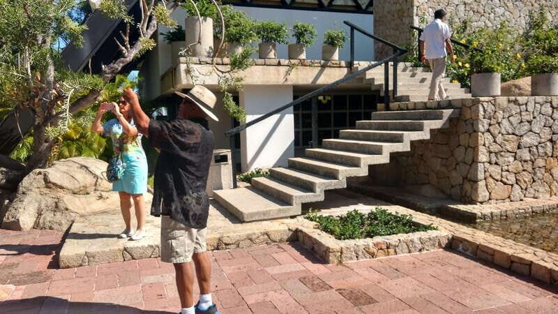 .6Hr Tour Diving Show Baby Turtle Release & All Attractions - The Sum Up: Is It Worth It?