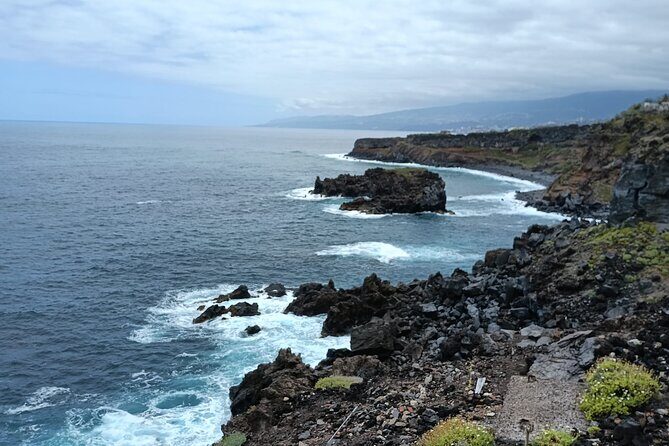 6hrs Private Tour in North Coast of Tenerife - Introduction to the Tour Experience