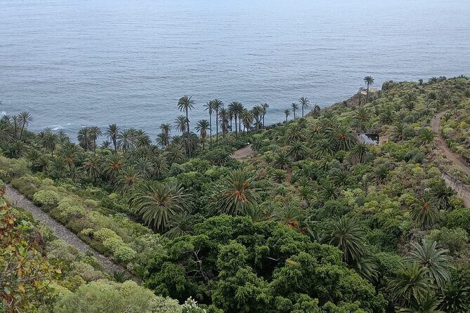 6hrs Private Tour in North Coast of Tenerife - Why the Experience Offers Great Value