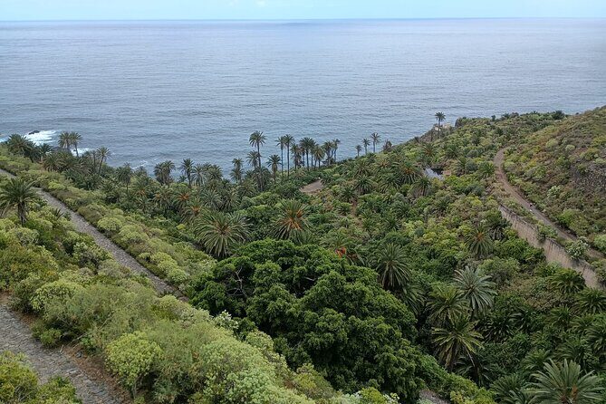 6hrs Private Tour in North Coast of Tenerife - Who Should Book This Tour?