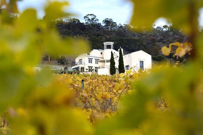 7- 8 Hour StelaVino Guided Wine Tours From Hobart, Tasmania - Authentic Insights from Reviews