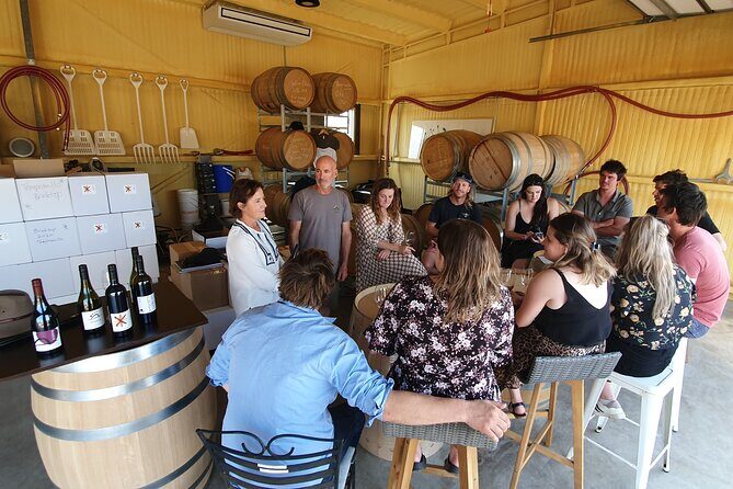 7- 8 Hour StelaVino Guided Wine Tours From Hobart, Tasmania - The Sum Up