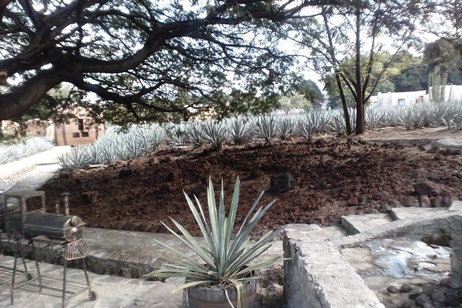 7 day circuit west: México, San Miguel, Guadalajara, Morelia - An Overview of the 7-Day Itinerary