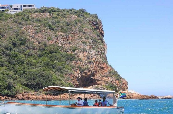 7-Day Garden Route Safari Adventure from Cape Town - Day 4: Marine Life and Strawberry Fields