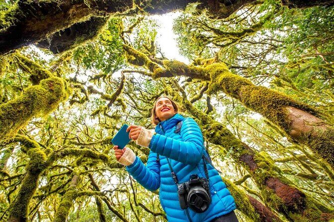 7 Day Guided Small Group Tour On Vancouver Islands West Coast - FAQs