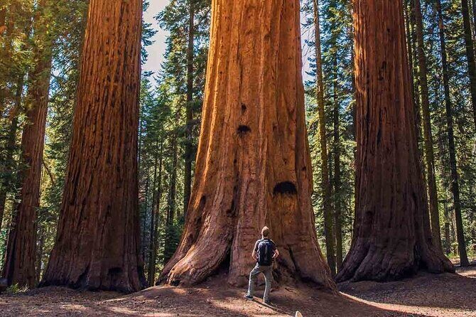 7 Day Guided Small Group Tour On Vancouver Islands West Coast - Final Thoughts