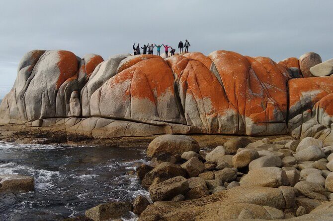 7-Day Super Value Tour of Tasmania: Explore Tasmania's West and East Coasts - Cradle Mountain & Wilderness Walks: Days 3-4