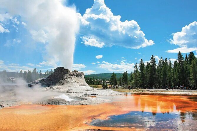 7 -Day Tour from Las Vegas to Yellowstone National Park - Value and Cost Analysis