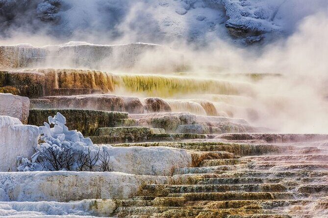 7-Day Tour in Yellowstone and Las Vegas From Salt Lake City - A Deep Dive into the Experience