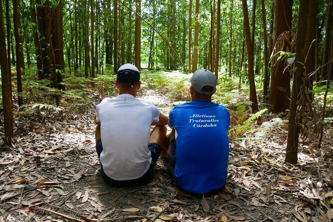 7-Day Tour of the French Way of Santiago from Sarria - References