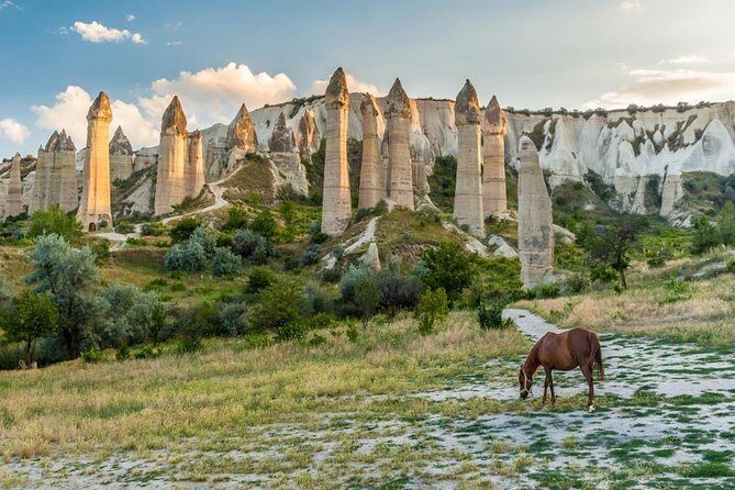 7 Days Turkey Tour Package: Istanbul, Cappadocia, Ephesus, Pamukkale - by Flight - Arrival & Istanbul: The Introduction to Turkey