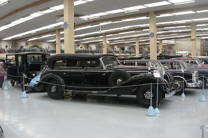 7-hour Kapiti Coast Private Tour - A Detailed Look at the 7-hour Kapiti Coast Private Tour