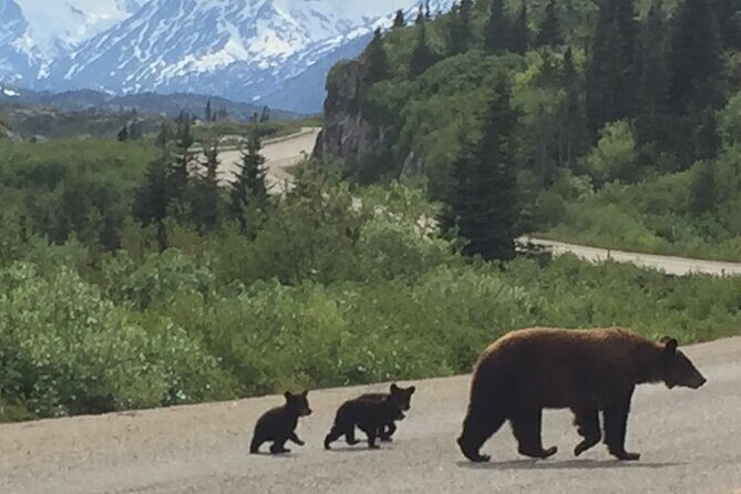 7 Hour Private Emerald Lake Van Excursion - Exploring the Itinerary in Depth