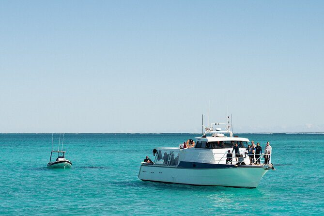 7 Hours Off Peak Whale Shark and Ningaloo Reef Tour in Exmouth - Final Thoughts: Is It Worth It?