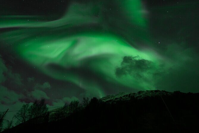 7 hours Tromsø Aurora Tour: Photos, snacks & warm drinks included - Key Points
