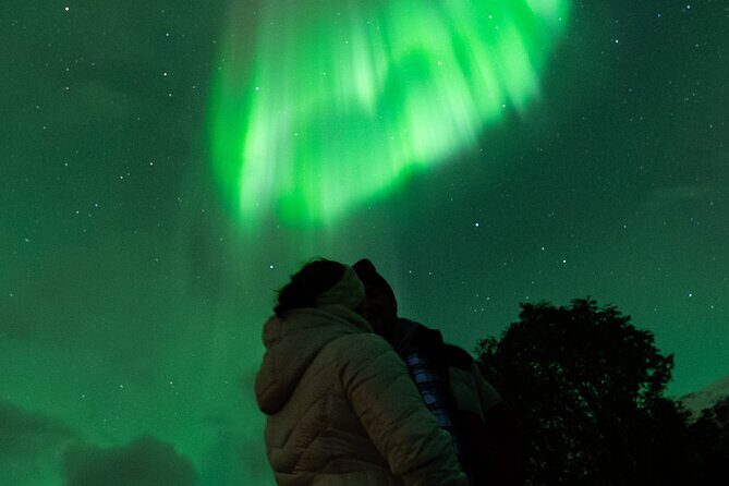 7 hours Tromsø Aurora Tour: Photos, snacks & warm drinks included - The Value of This Aurora Tour