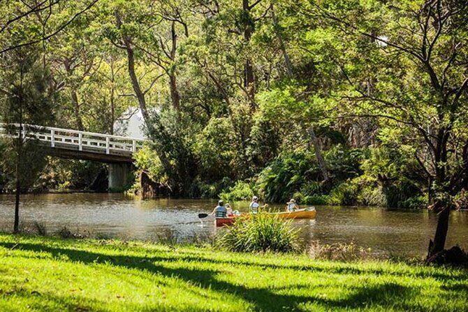 7 Wonders of Sydney South/CBD Luxury Private Tour - A Deep Dive into the Experience: What You Can Expect